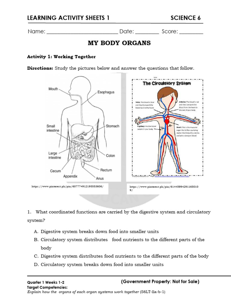 Science 6 Q2 LAS 1 | PDF