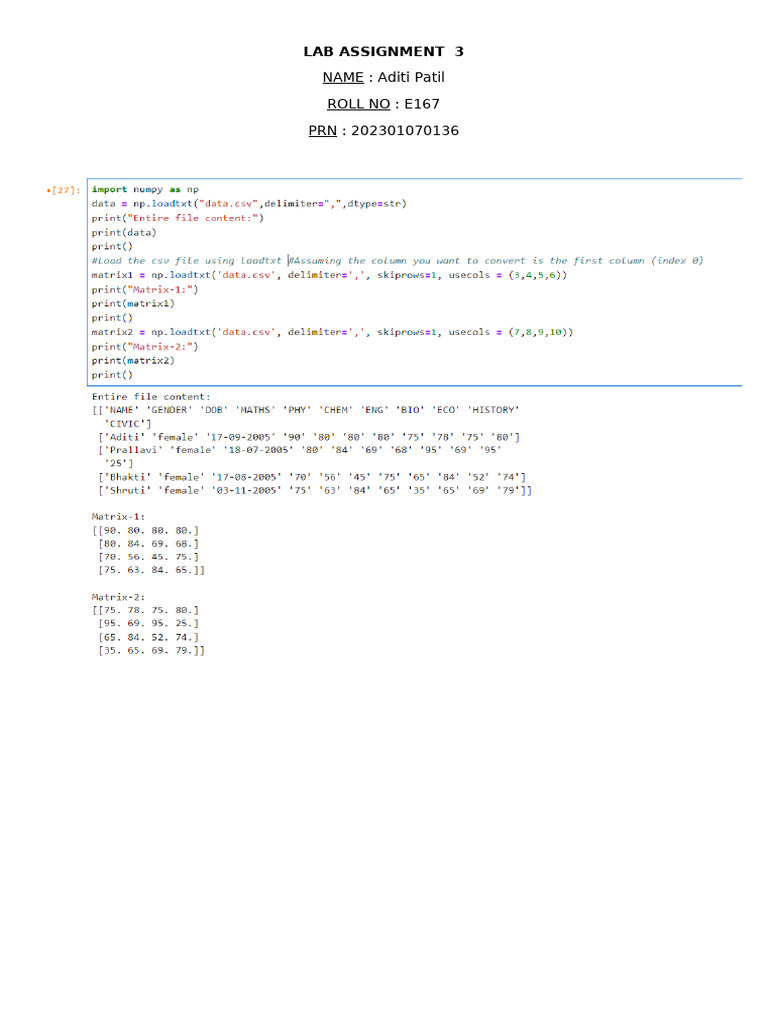 Lab Ass 3 E167 | PDF
