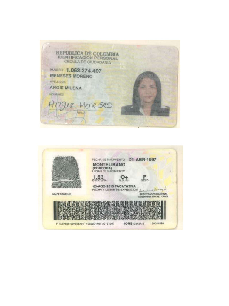 Angie Meneses 16012024 | PDF