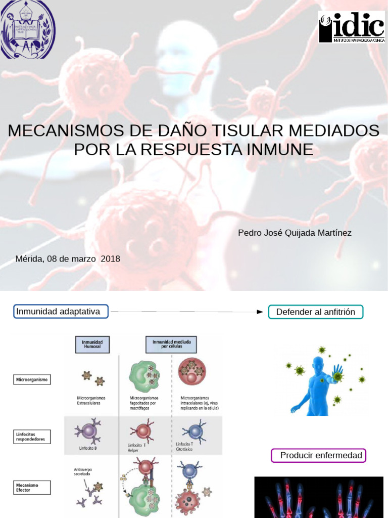 Enfermedades por Hipersensibilidad | PDF | Alergia | Inflamación