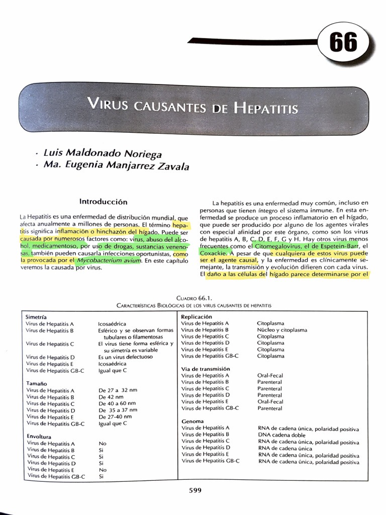 Hepatitis (2) - 104429 | PDF