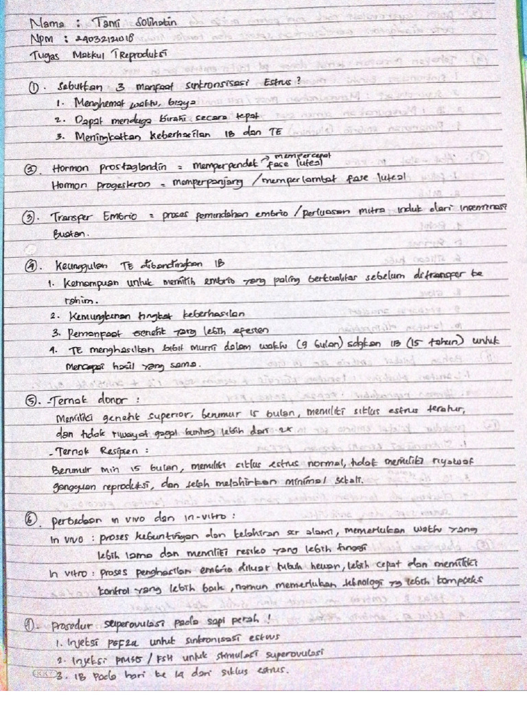 Tugas Tekrep (Tami) | PDF