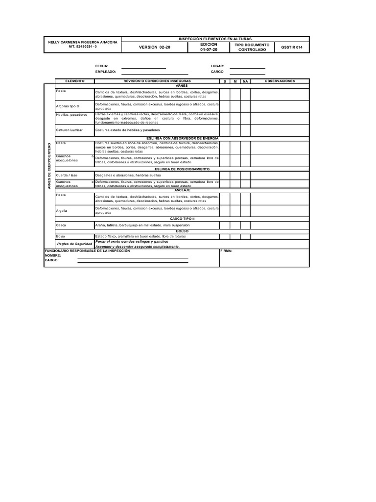 Gsst r 016 Inspección Elementos de Alturas | PDF