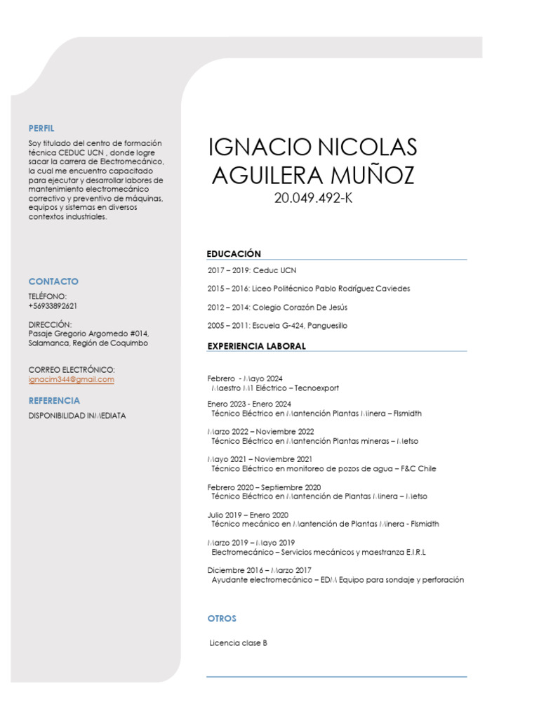 CV Ignacio Aguilera MuÃ Oz | PDF | Tecnología