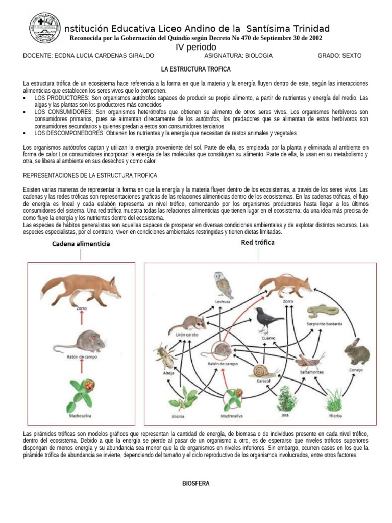 Biologia Sexto Estructura Trofica | PDF | Red alimentaria | Ecosistema