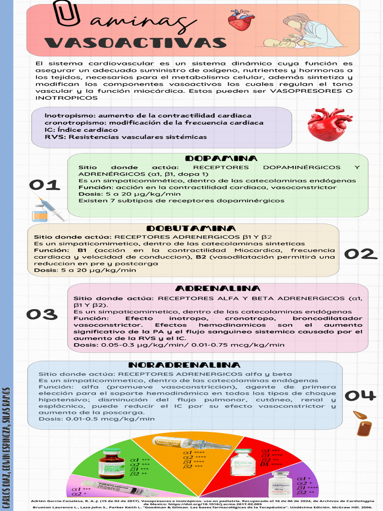 Infografia Aminas vasoactivas | PDF