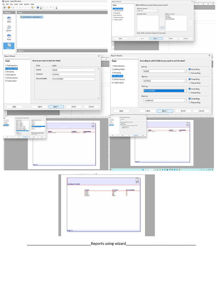 reportsusing wizard | PDF