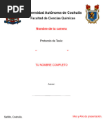 Formato Portada Portadilla Tesis-Unam | PDF | Ciencia y matemáticas