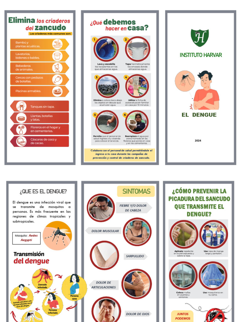 Triptico Dengue | PDF