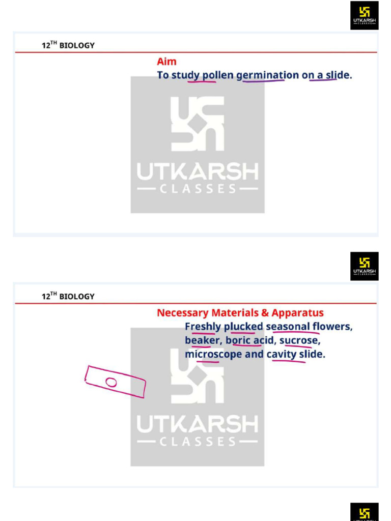 P - 02 - To Study Pollen Germination On A Slide | PDF