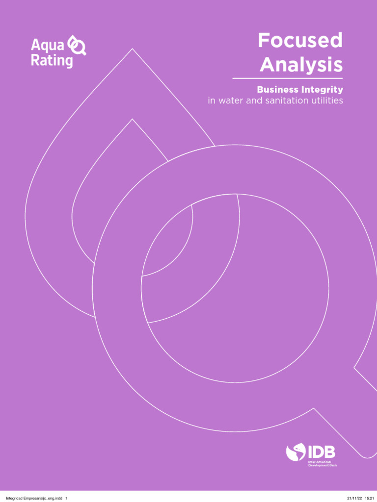 Focused Analysis Business Integrity in Water and Sanitation Utilities ...