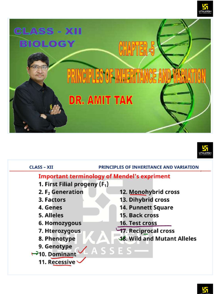 Part- 04 || Mendel's Experiment- III | PDF