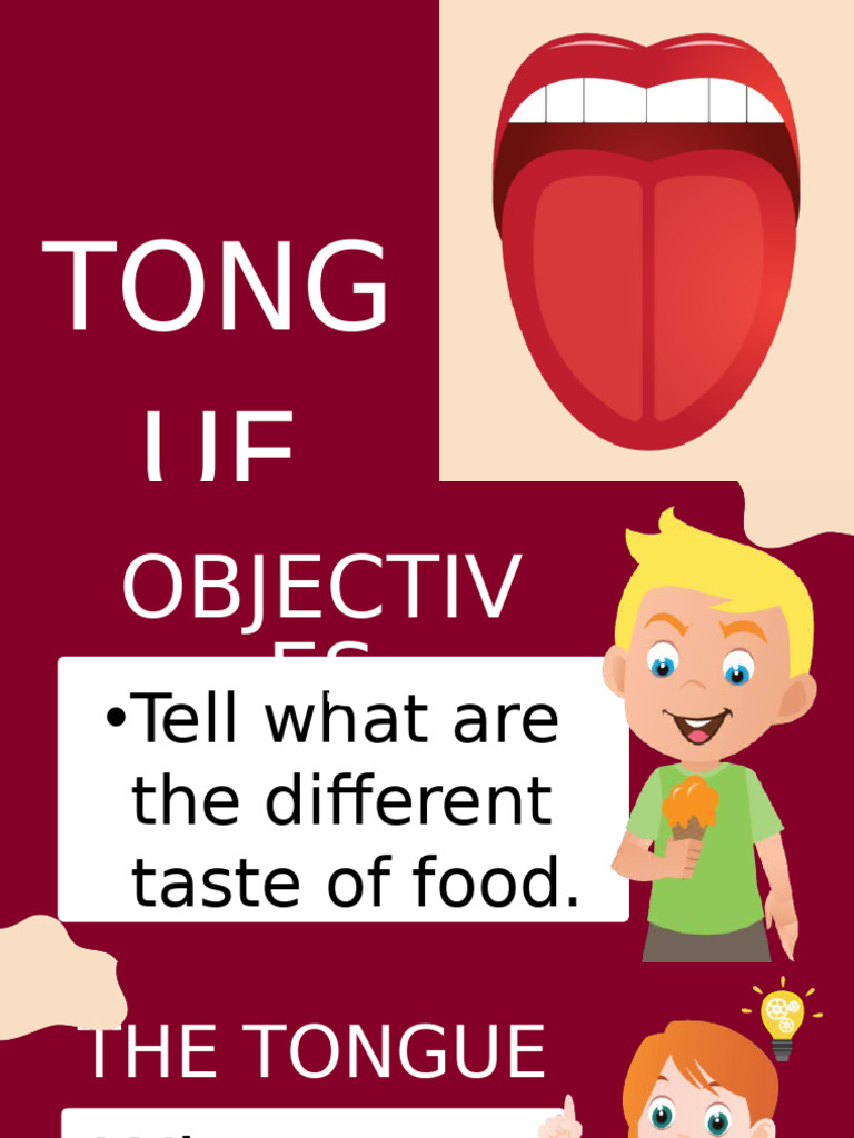 Parts of the Tongue Science Presentation | PDF