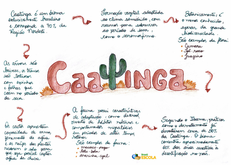 Caatinga | PDF
