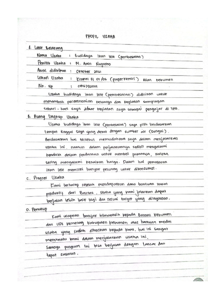 Profil Usaha Lele | PDF