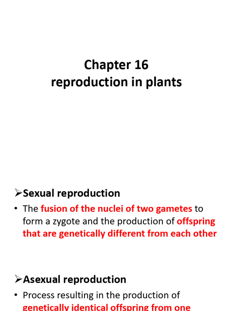 Chapter 16 Reproduction in Plants | PDF | Flowers | Sexual Reproduction