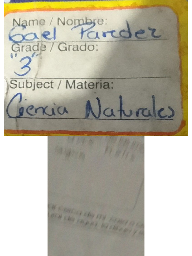 PDFReader 20241017 2115 | PDF