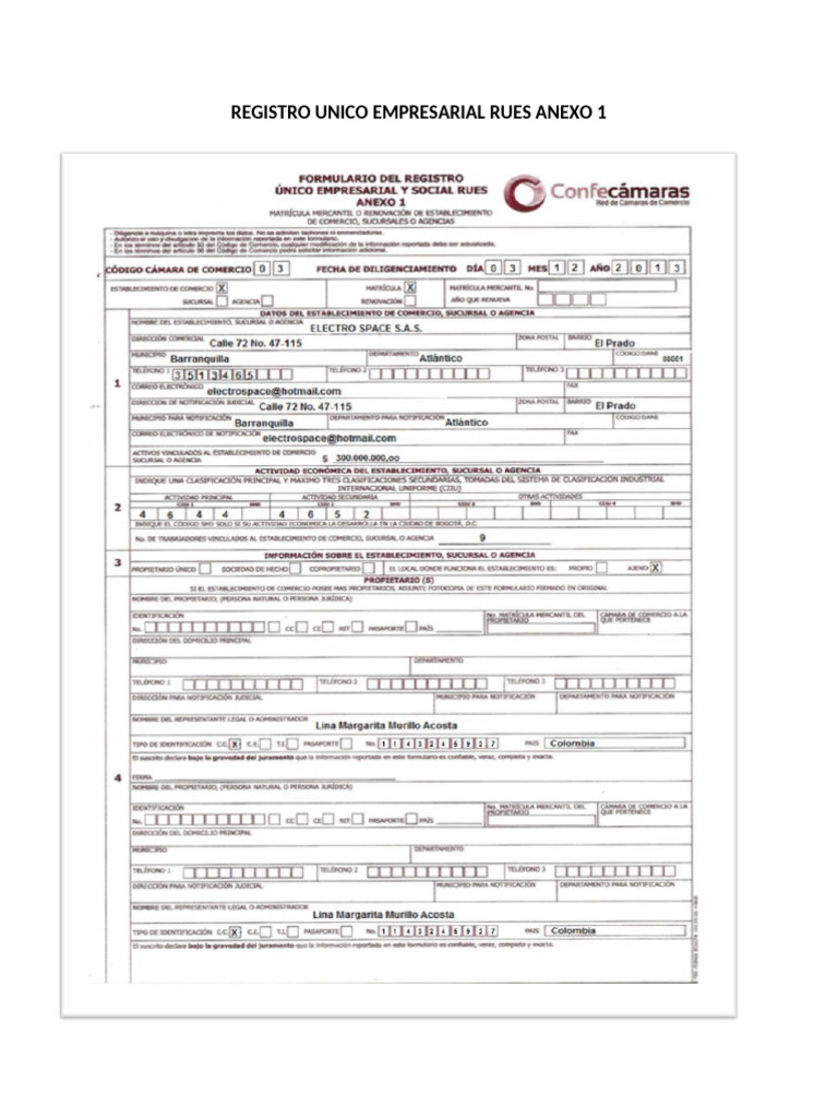 9-Registro Unico Empresarial y Social Rues Anexo1 | PDF