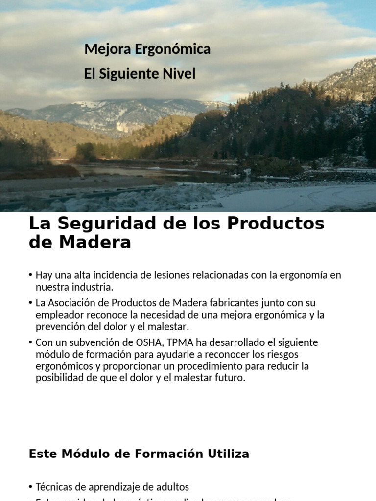 Mejora Ergonómica en la Industria Maderera | PDF | Administración de Seguridad y Salud Ocupacional