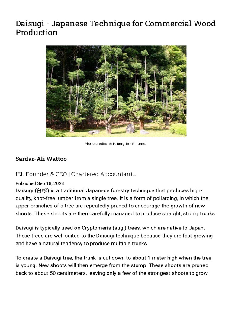 Daisugi - Japanese Technique For Commercial Wood Production | PDF