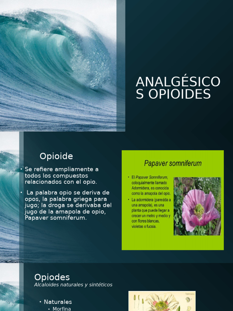 Tema 18 Analgésicos Opioides Actualizado | PDF | Opioide | Analgésico