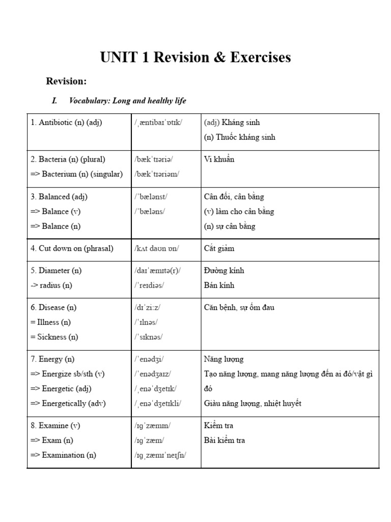 UNIT 1 Revision & Exercises | PDF