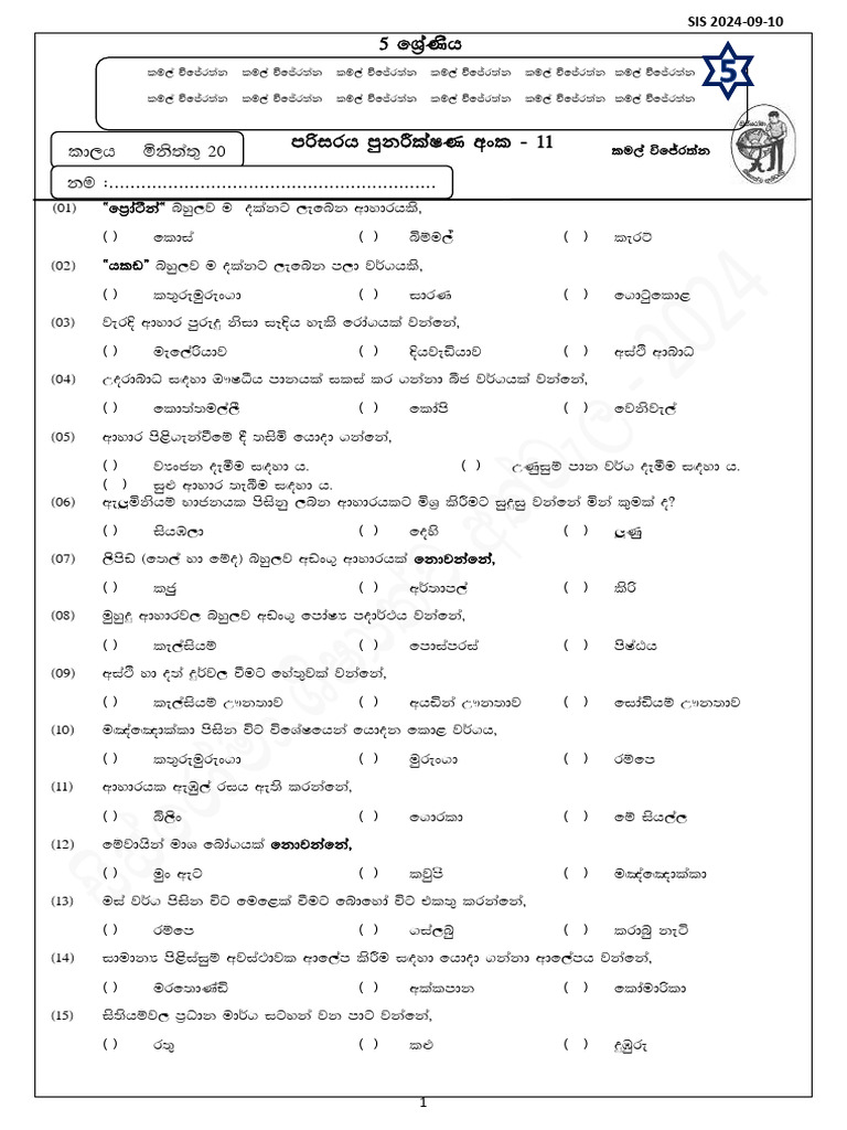 2024-09-10 Parisaraya - 11 | PDF | Business | Foreign Language Studies