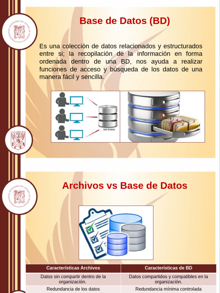 Base Datos | PDF | Bases de datos | Información