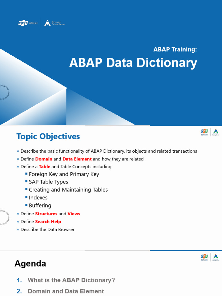 ABAP - T03-001 - Data Dictionary - v1.02 | PDF | Databases | Information Retrieval
