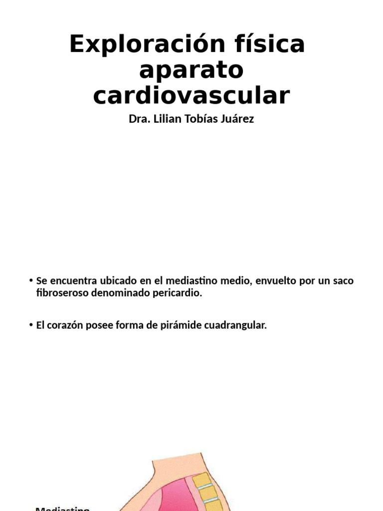 Ef Ap Cardiovascular | PDF | Corazón | Sistema cardiovascular