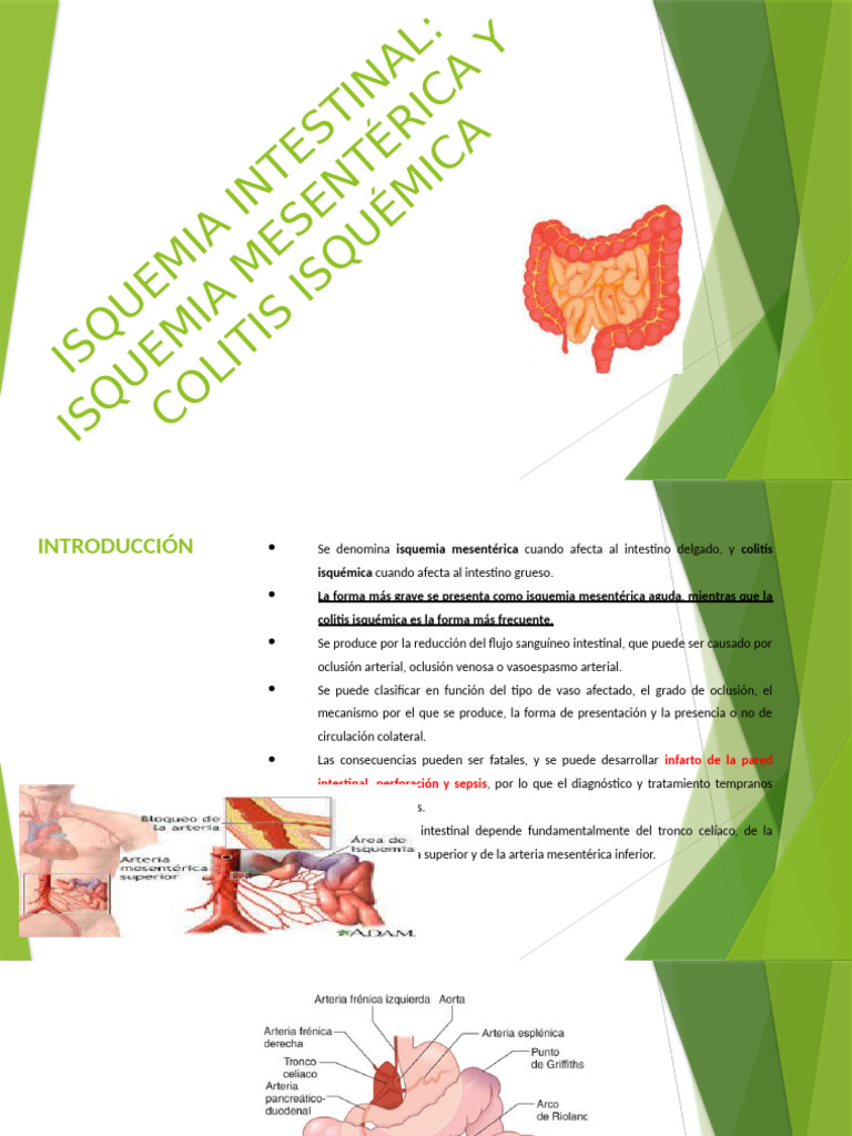 Isquemia Intestinal Expo Gastro | PDF | Isquemia | Infarto de miocardio