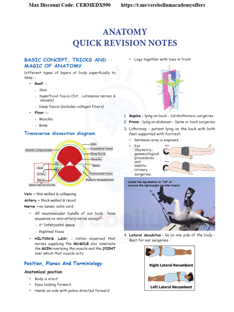 Anatomy P2 | PDF | Thumb | Hand