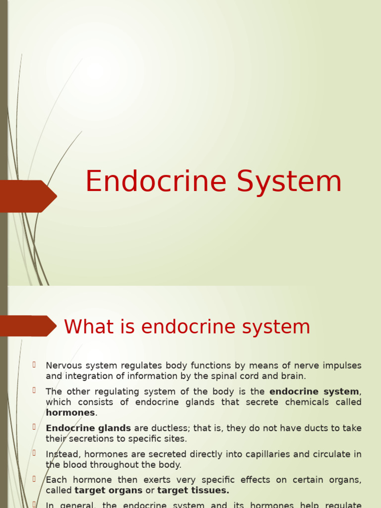 Endocrine System Pdf Endocrine System Hormone
