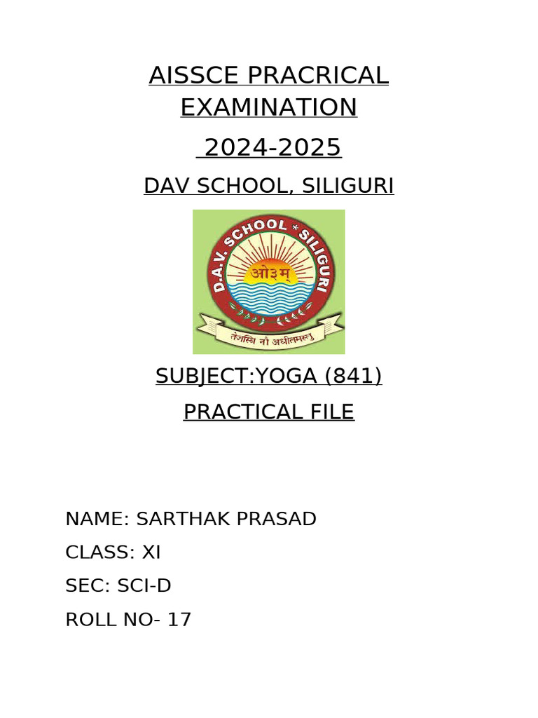 AISSCE PRACRICAL EXAMINATION | PDF