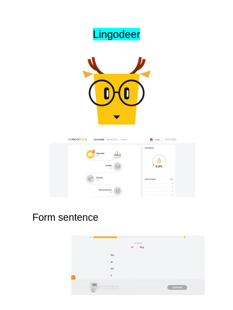Lingodeer | PDF