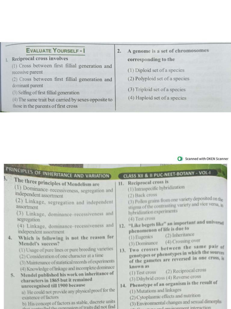 Principle of Inheritance and Variation (Questions) | PDF