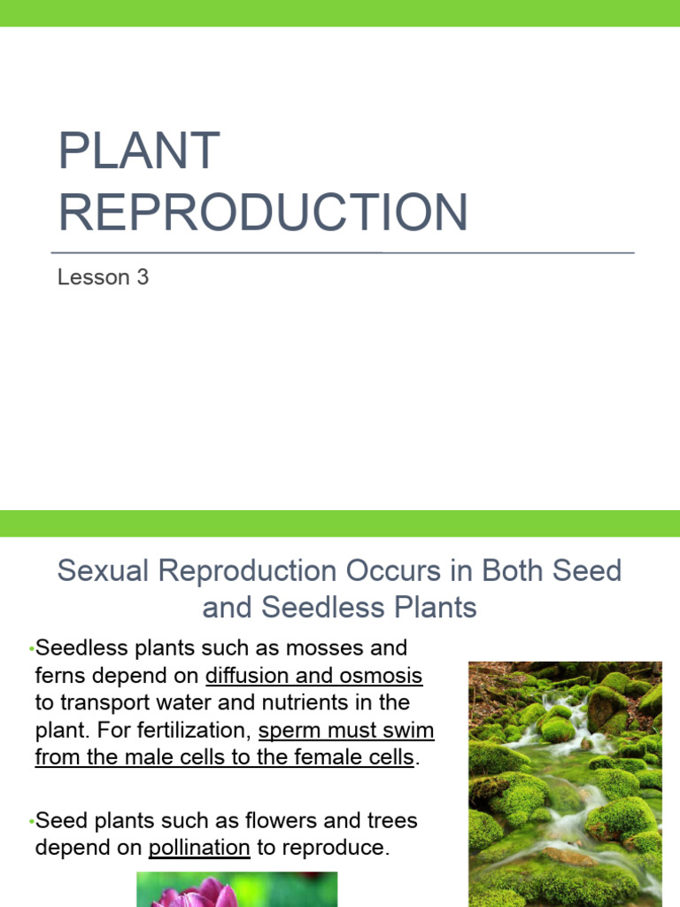 Lesson 3 - Plant Reproduction | PDF | Flowers | Seed