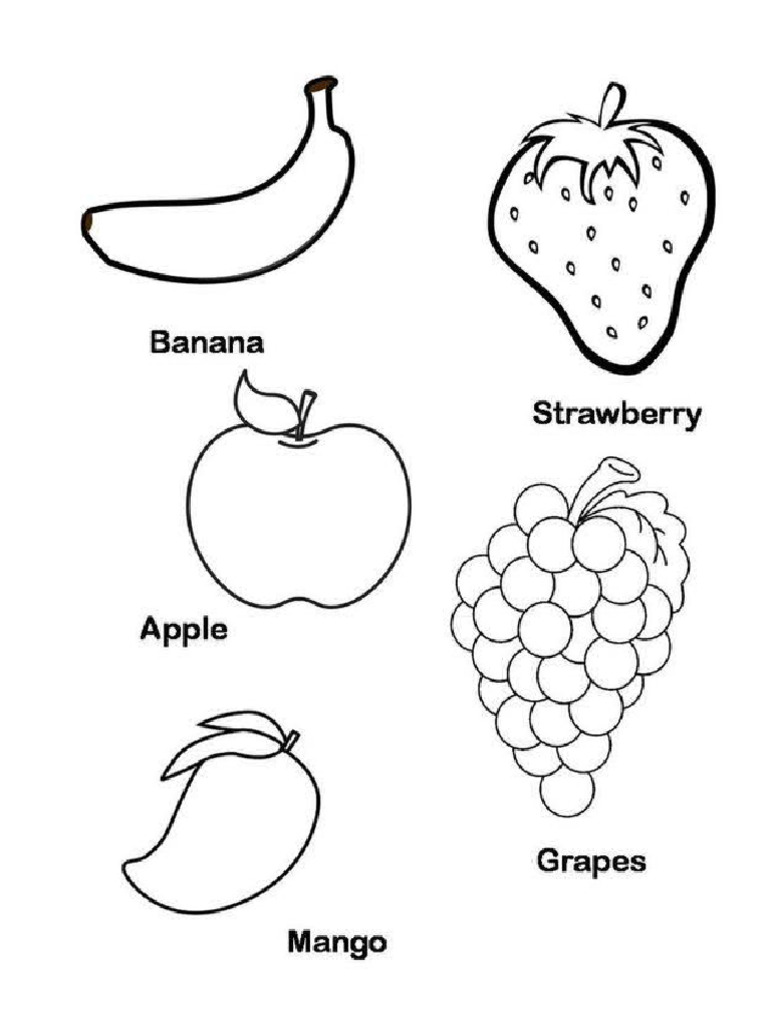 Tracing Animal & Things | PDF