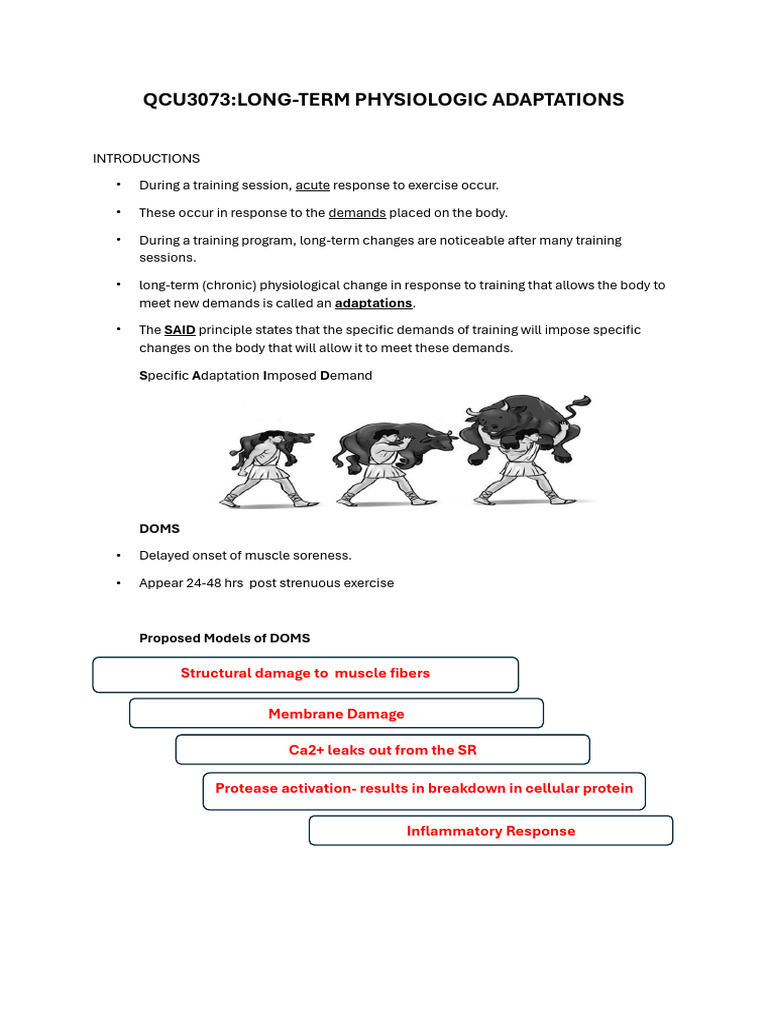 Long-Term Physiologic Adaptations | PDF | Skeletal Muscle | Glycogen