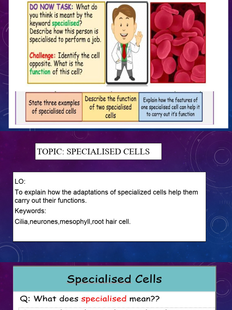 Specialized Cells | PDF | Self-Improvement