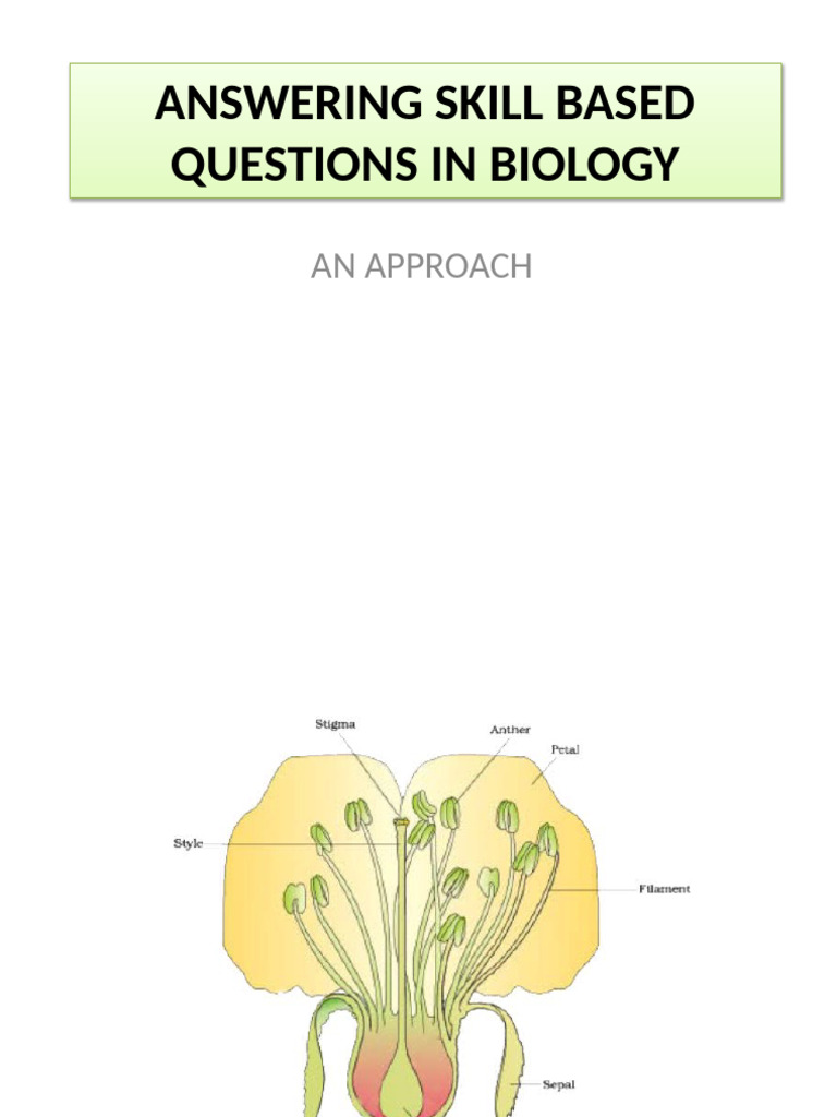 Skill and Schematic Representation-Biology | PDF