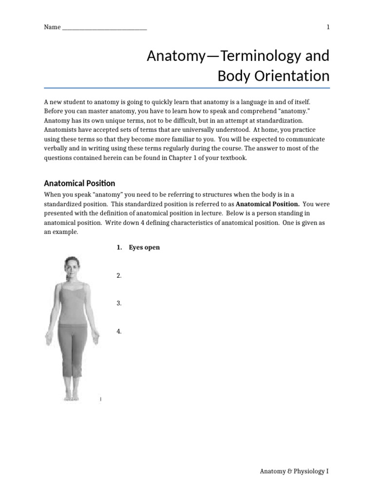 Anatomical Terminology | PDF | Anatomical Terms Of Location | Human Anatomy