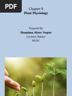 Respiration in Plants | PDF