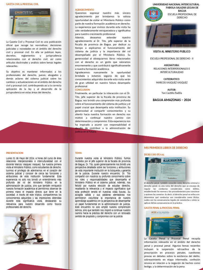 Triptico Marcos | PDF | Ley procesal | Derecho penal