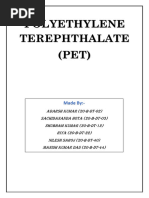 Ramapet S1: PT. Indorama Polypet Indonesia | PDF | Materials | Chemistry