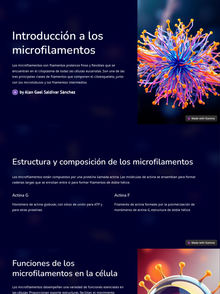 Introduccion A Los Microfilamentos | PDF | Actina | Citoesqueleto