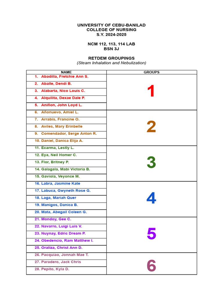 BSN 3j Retdem Groupings | PDF