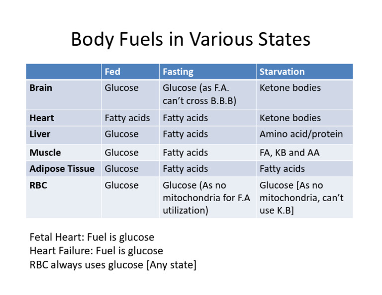 Scribd 007-001 Body Fuels in Various States | PDF