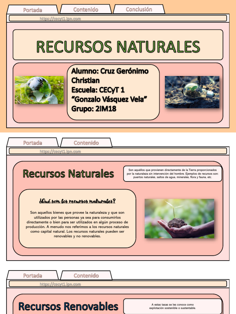 Cruz - Geronimo - Christian - Recursos Naturales | PDF | Energía ...