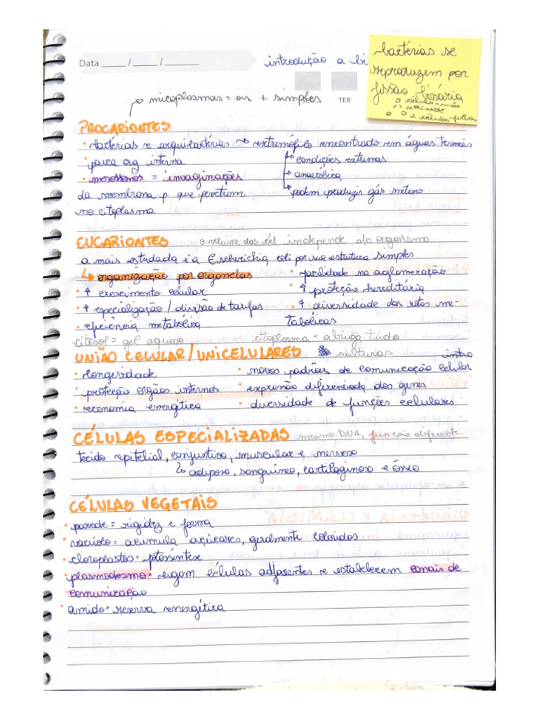 Resumos Biocel 1 | PDF